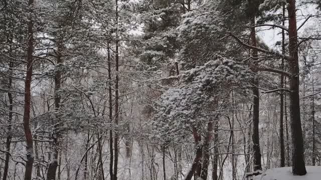 Сравнивать себя только с самим собой. Не быть нищебродом