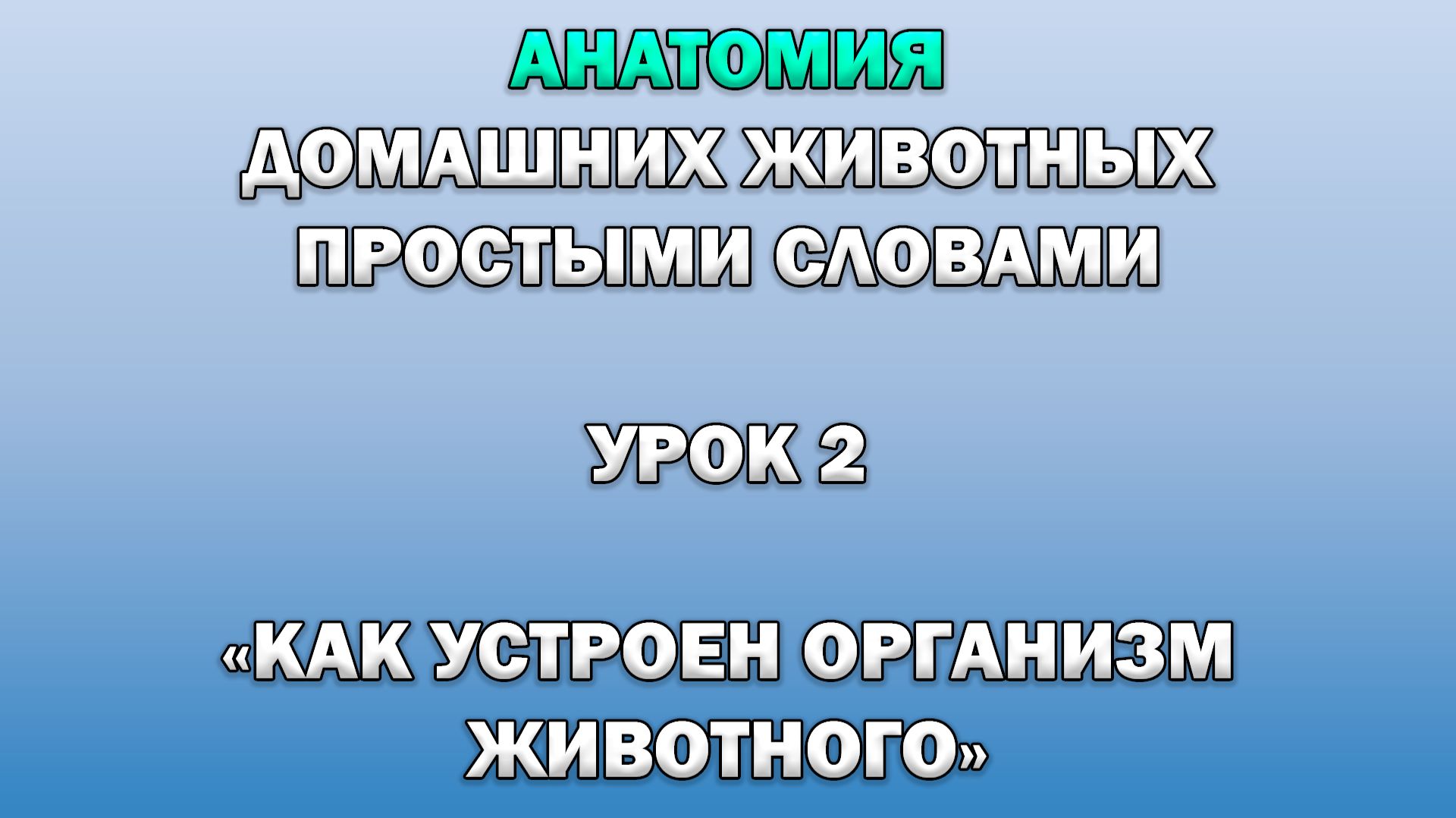 АДЖ | УРОК 2 | КАК УСТРОЕН ОРГАНИЗМ ЖИВОТНОГО