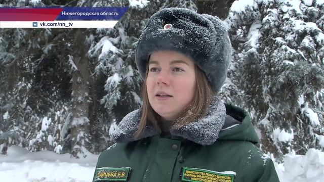 В_Нижегородской_области_внедряются_передовые_беспилотные_технологии_в_гражданской_сфере