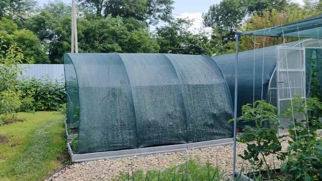 Обзор участка на третий год. 3 июня 2025 года.