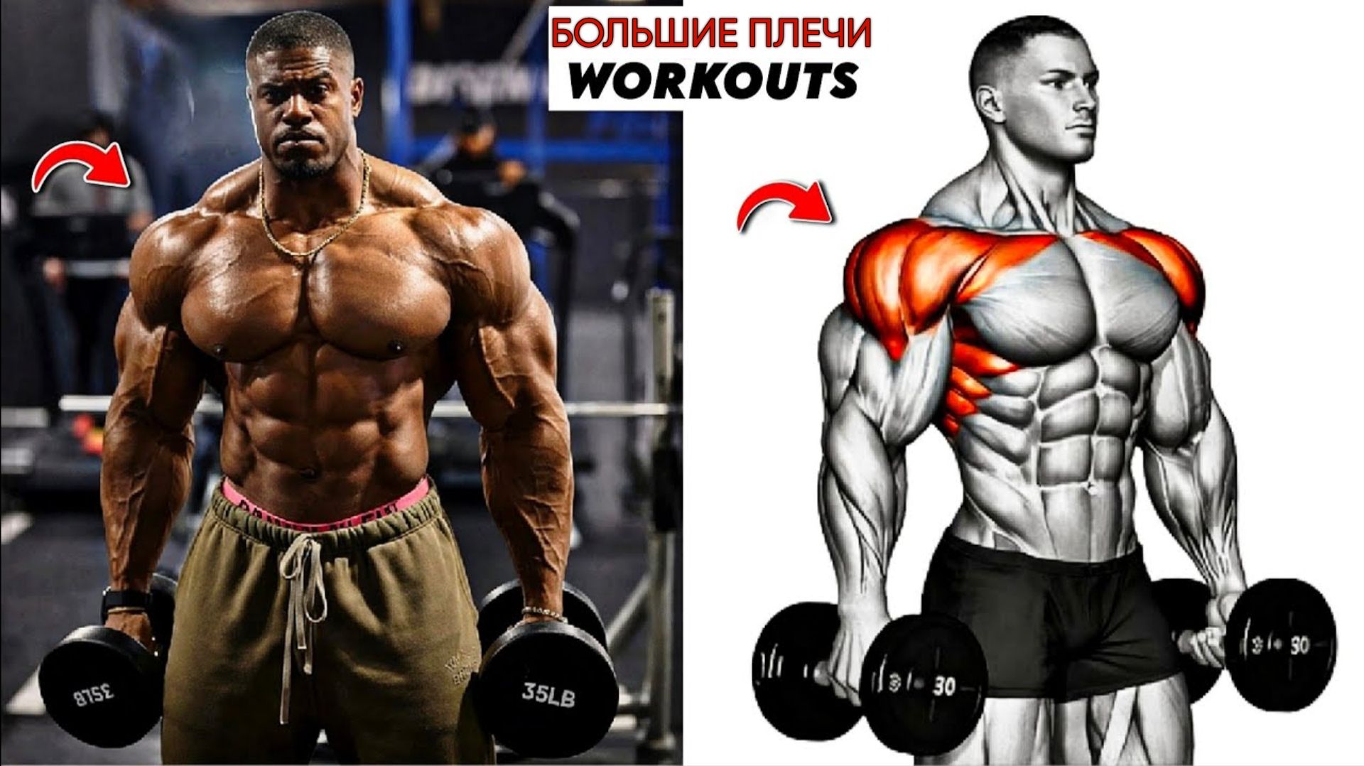 8 Идеальных Упражнений Для Плеч, Которые Помогут Быстро Нарастить Массу, Ширину и Силу 🔥