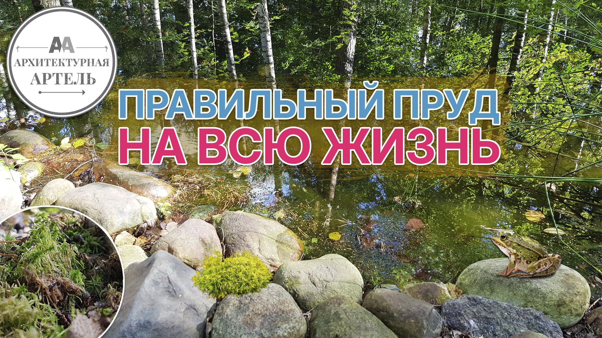 Как спроектировать #пруд который переживёт и #лето, и зиму #dvaa #дизайн #ландшафтныйдизайн