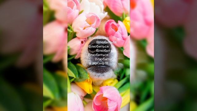 Верните любовь на планету