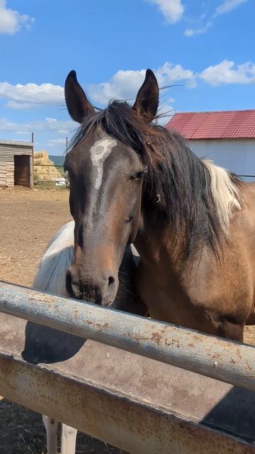 Тур выходного дня в Мелодия Жигулей