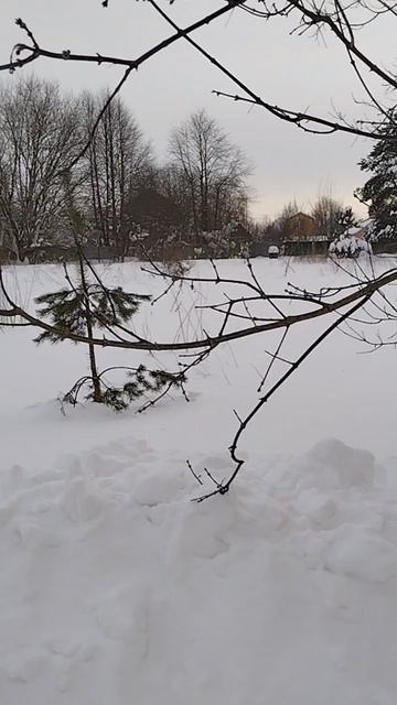 д Маклаково  50:18:0070308:567