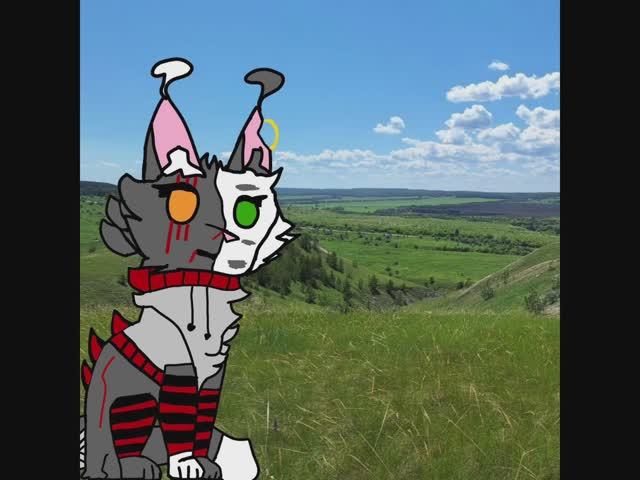 Реакция на фильм,комикс, или...Коты Воители Dark Night/ Темная Ночь