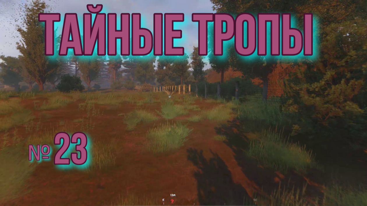 Тайные тропы 2025. № 23  Нычка бандитов