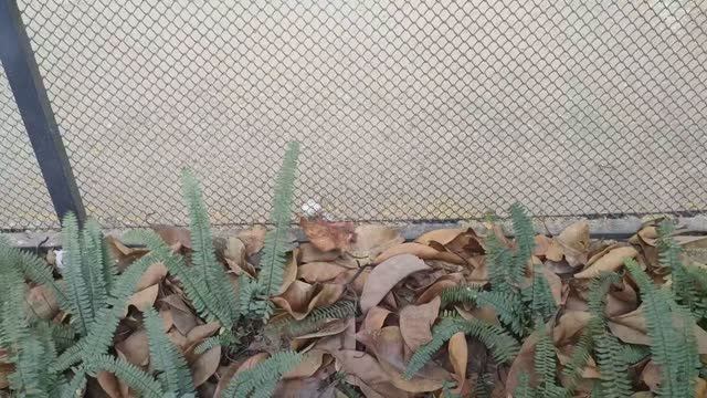 Китай. Город Гуанчжоу. Главное - верить в свои силы!