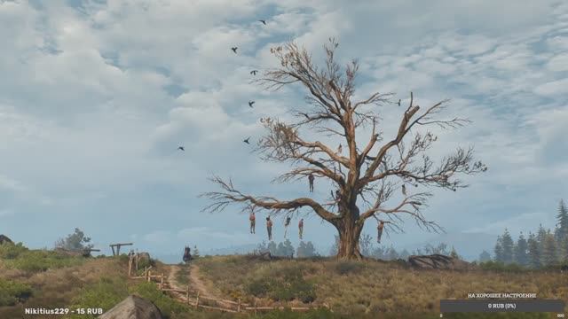 Ведьмак 3: Дикая Охота // НОВАЯ ИГРА + // БОЛЬ И СТРАДАНИЯ #3