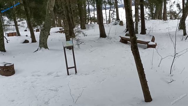 Парк Монрепо 3