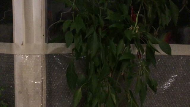 игра в прятки