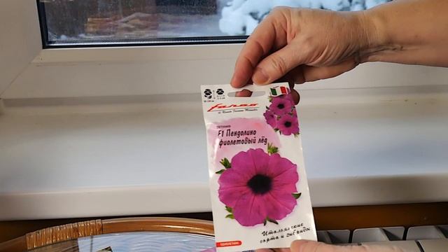 ПРЕЛЕСТНЫЕ ПЕТУНИИ