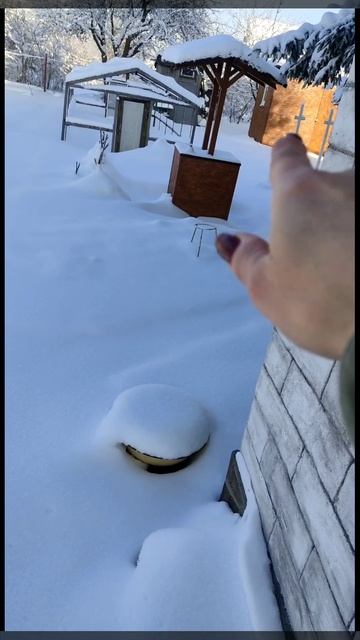 17-01-2026 сезон 2026