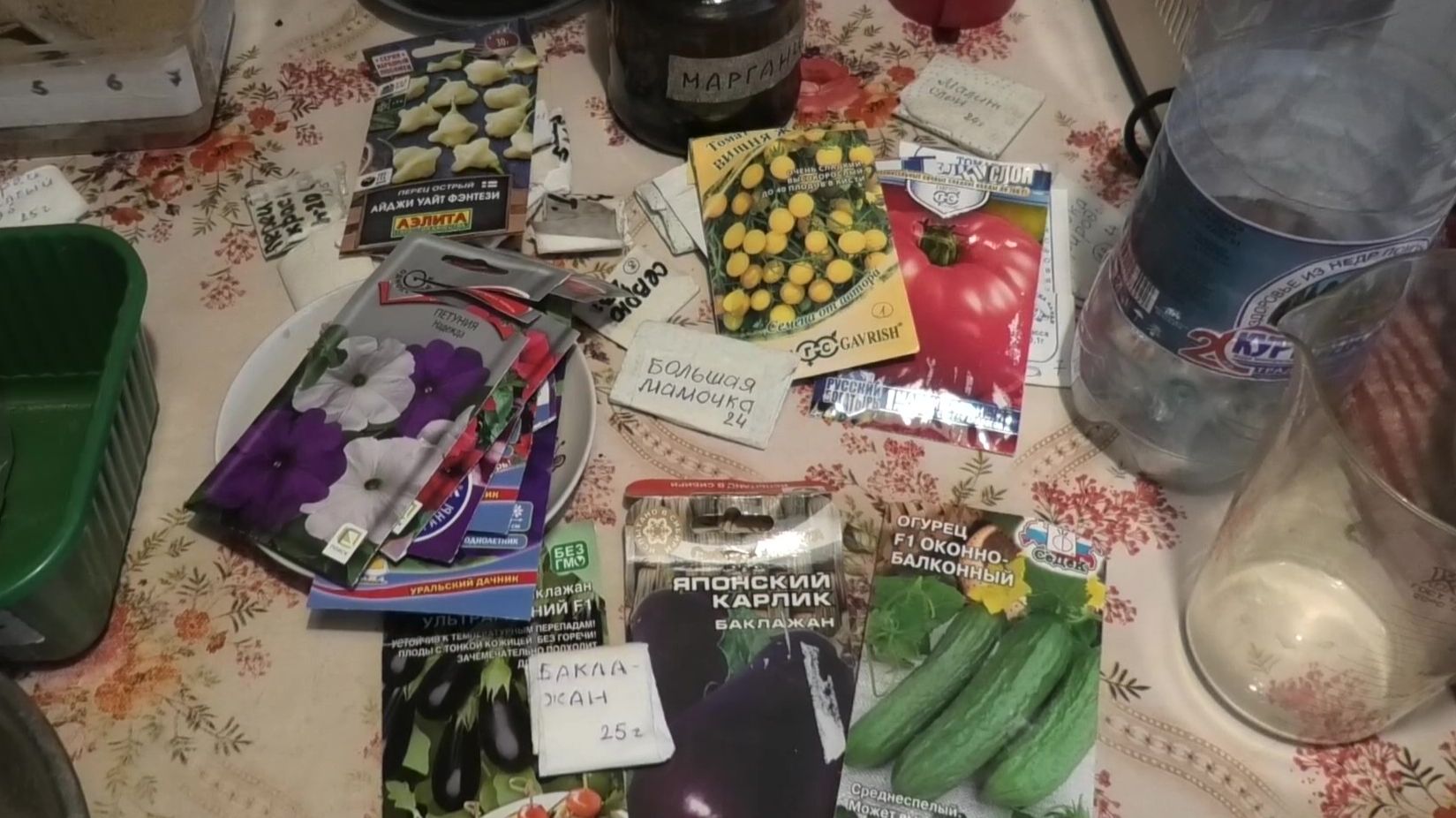 28 01 -3 02 26г начинаю делать рассаду