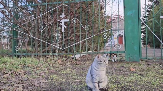 Как жизнь постепенно возвращается в донецкий храм, переживший войну, благодаря общине