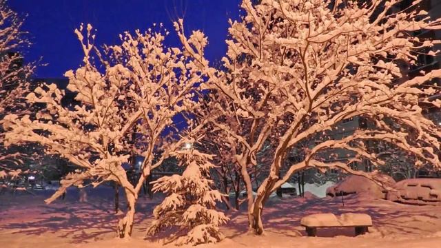 СИНИЙ ВЕЧЕР - РОЗОВОЕ УТРО
