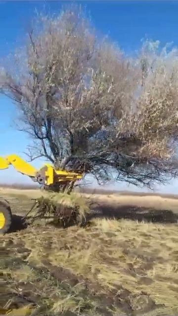 Корчеватель "Крокодил"