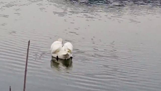 Майоп. ЖК Предгорье Лаго-Наки. Прогука до озера