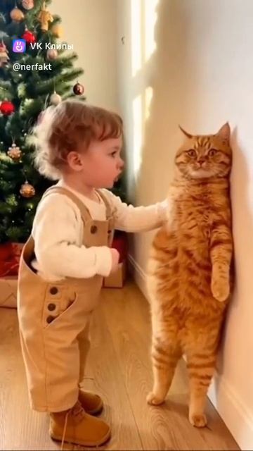 Слушай сюда блохастый