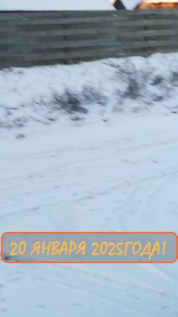 Жестока птица, обломина! Клинит ворота при первом морозе.  Китайский линейный привод ворот.