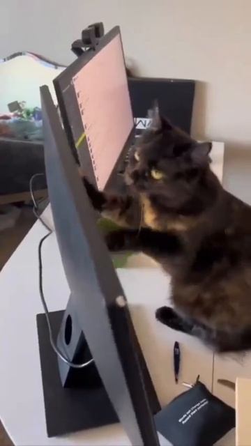 Эти строки любви для меня. Никто их не должен читать!