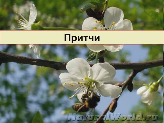 Притчи со звуком