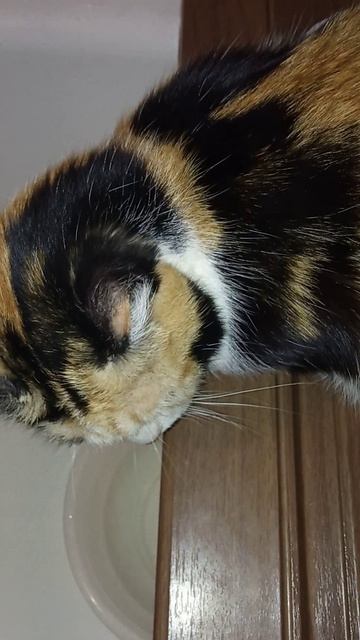 Масло сливочное традиционное натуральное вкусное