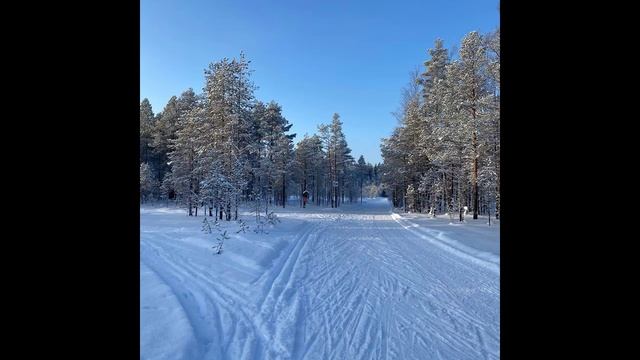 25В _ ЗИМНИЯЯ СКАЗКА