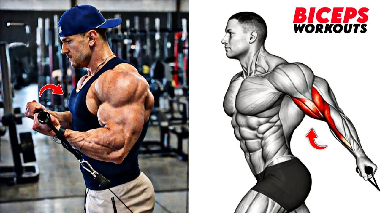 8 Идеальных Упражнений На Бицепс - Накачай Большие Руки Благодаря Этой Тренировки 🔥