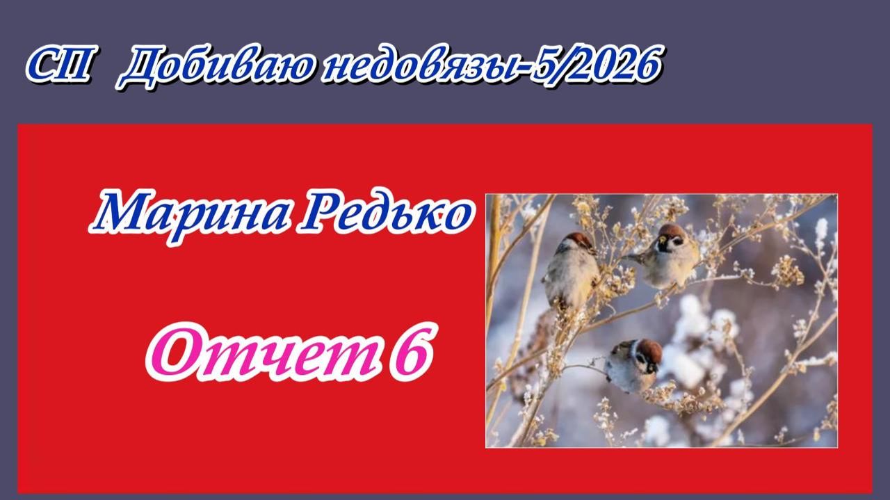 СП "Добиваю недовязы-5/2026" / Отчет 6