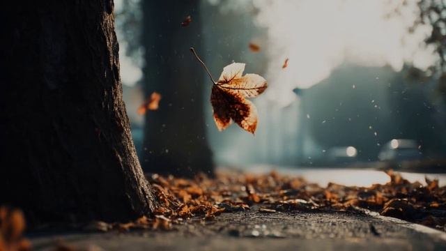 Не зарекайся