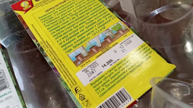 СЕЮ ГОРШЕЧНЫЕ ТОМАТЫ И ПЕРЦЫ.