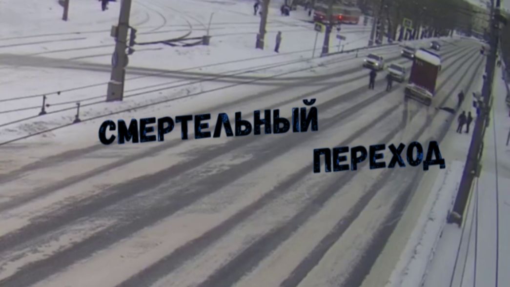 СМЕРТЕЛЬНЫЙ ПЕРЕХОД\\на "красный"\опасная обочина\в сугробе\ телефон зло\лучше по "зебре"\умный пёс