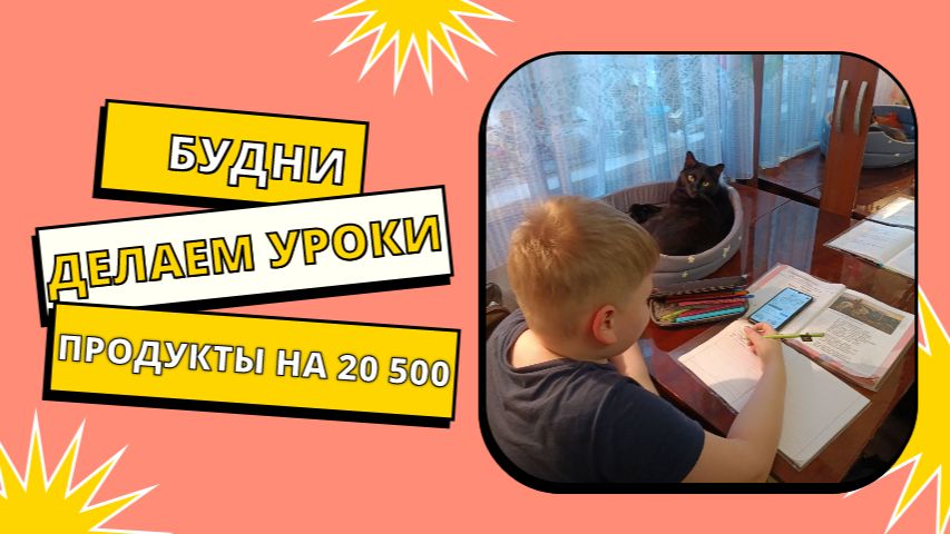 Задали кучу уроков | Заказали продукты на 20 500