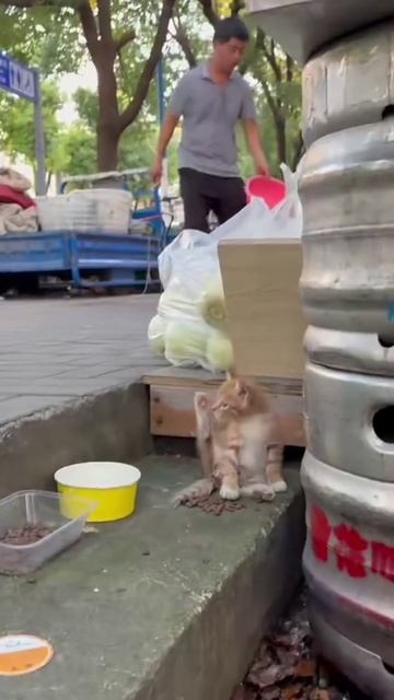 За собой надо уюирать