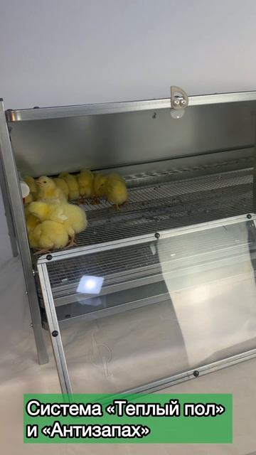 Рамный цифровой брудер 0715