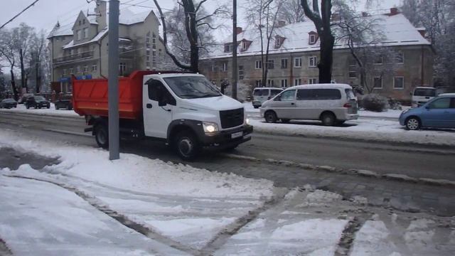 Газон Некст