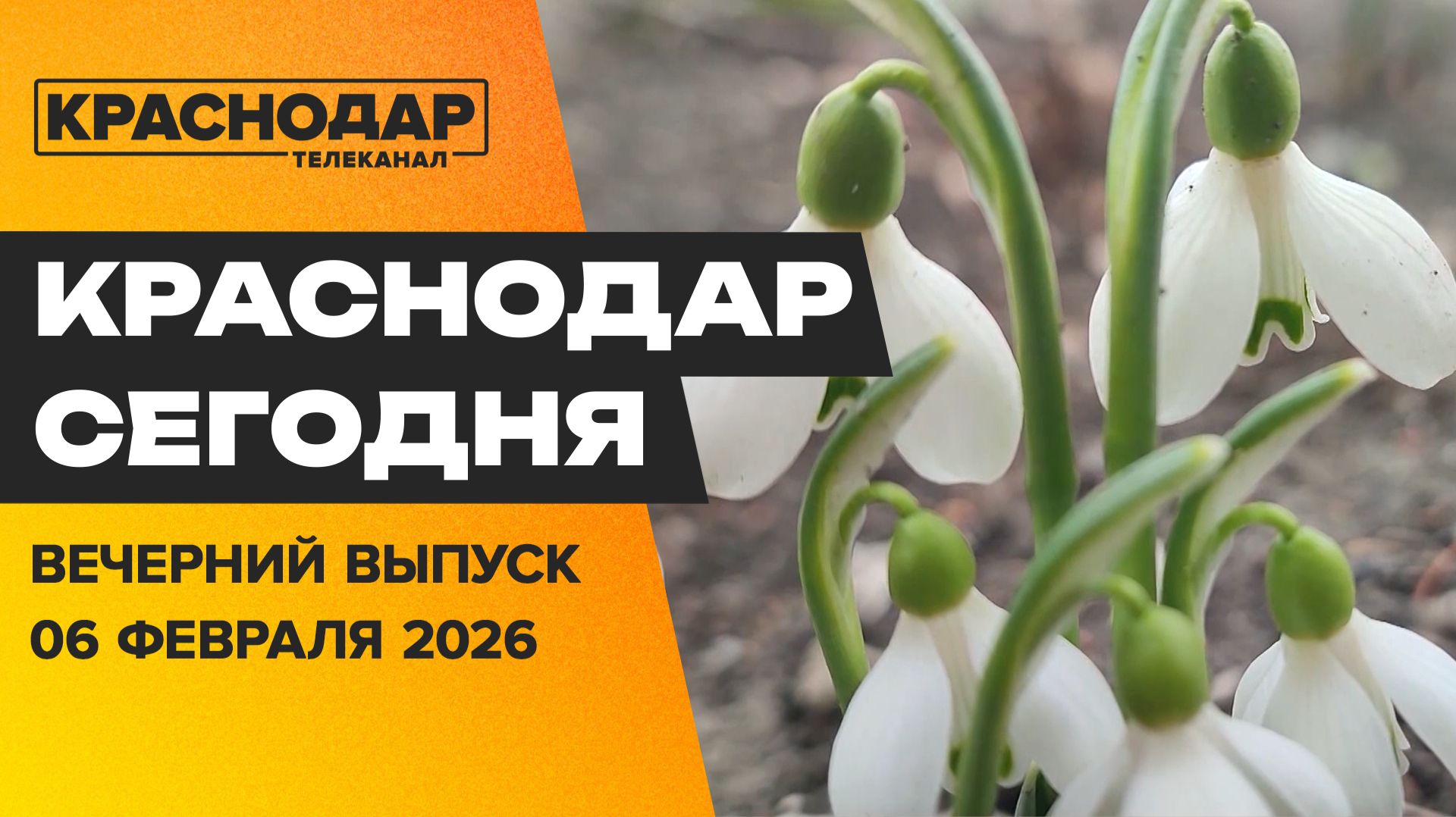 Инновации от студентов КубГУ, работы на кладбище, расцветшие подснежники. Новости 6 февраля