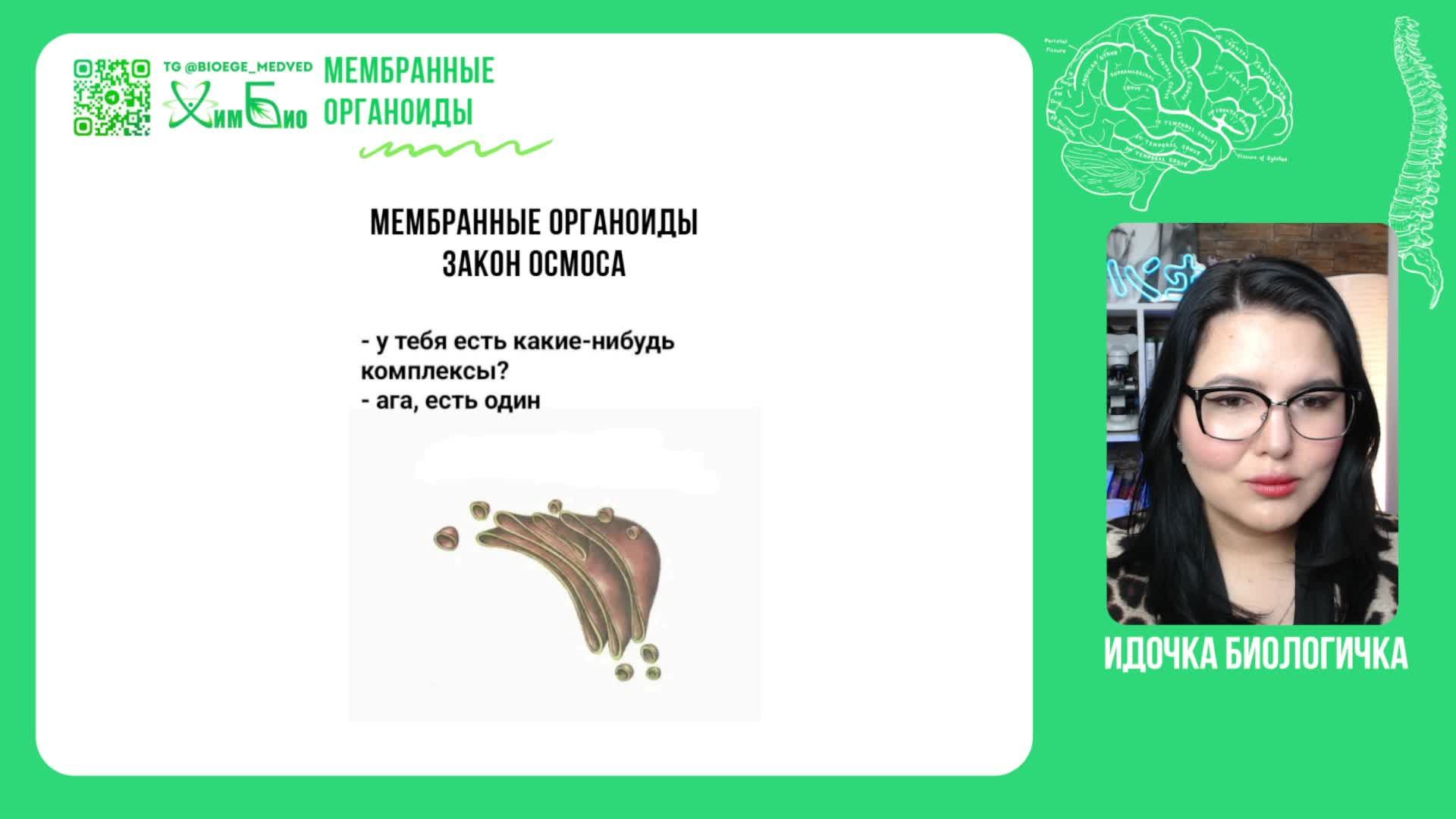 Цитология 2.0 - осмос