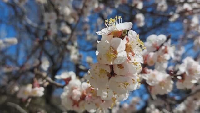 "Жизненный турнир" - стихи о жизни.