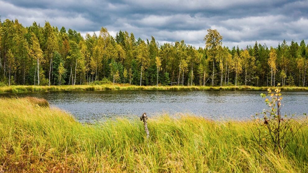 360. оз Савиновское.  Поиски. Добрались  годом позже.