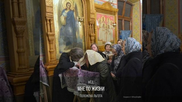 Льгота Ю.Мориц