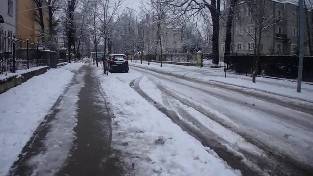 Калининград Каштановая аллея до проспекта Победы