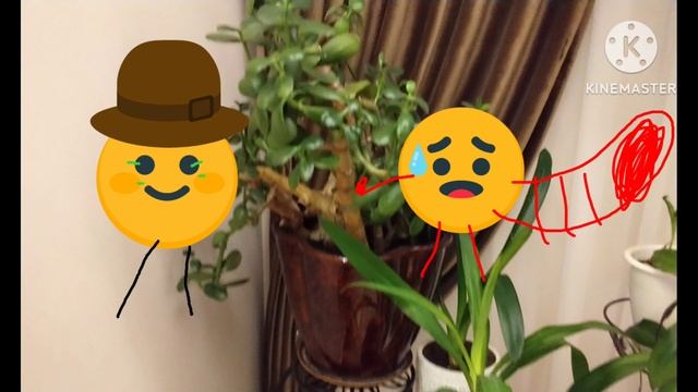 В поисках айсберга - 4 серия