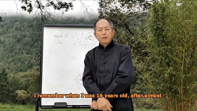 Боевой цигун 22. Улучшение качества проявления и  увеличения Ци Ян Цзюньмин