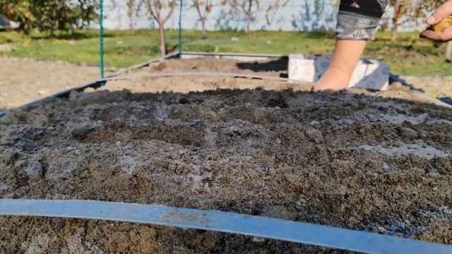 6-7.11.25. Два куба одним махом. Высадили чеснок. Обрезка кустов. Новое кафе.