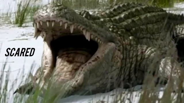 Three Days Grace - Scared