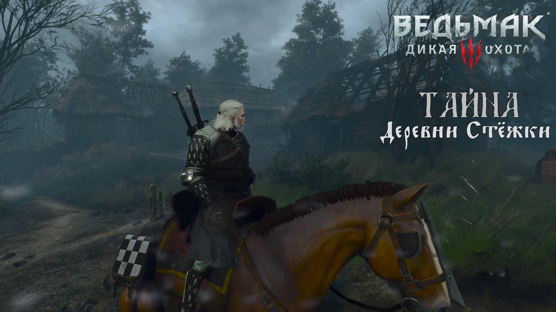 The Witcher 3. Wild Hunt ► 25 серия. МОНСТР из  деревни "СТЁЖКИ". САРАСТИ.  (2025)#witcher3