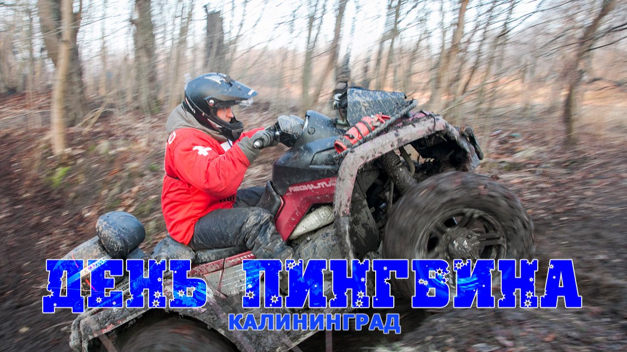 День пингвина Калининград 2013