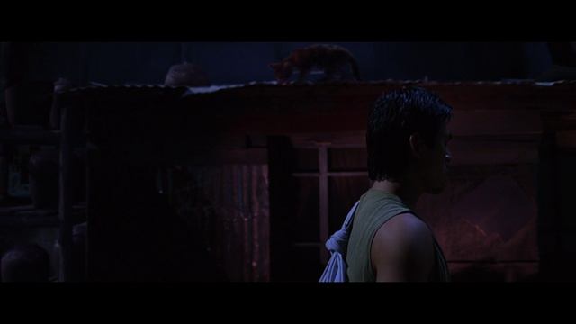 Смертельная мелодия (кф. Разборки в стиле Кунг-фу)